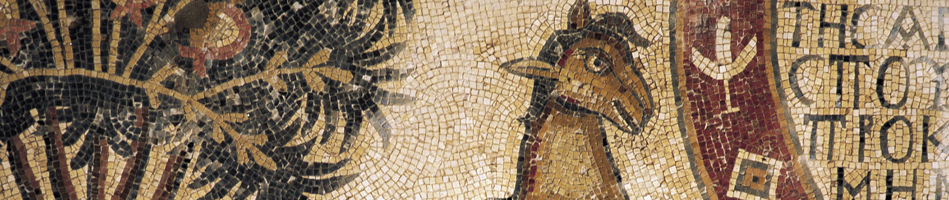 Umm Al Rassas | Tania Tours